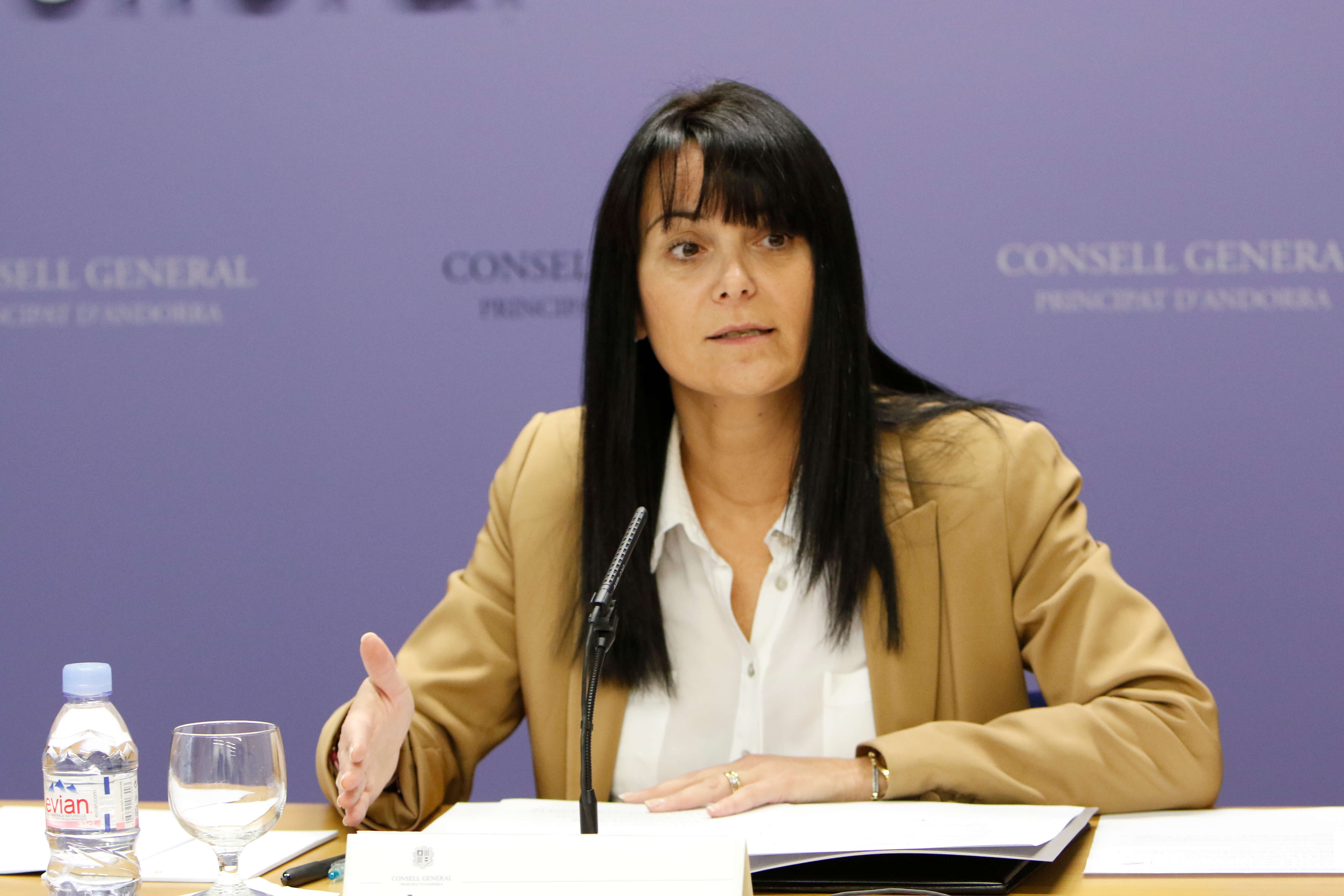 Sindicatura dona més temps al mixt després del suport de Bonet a Pintat ...