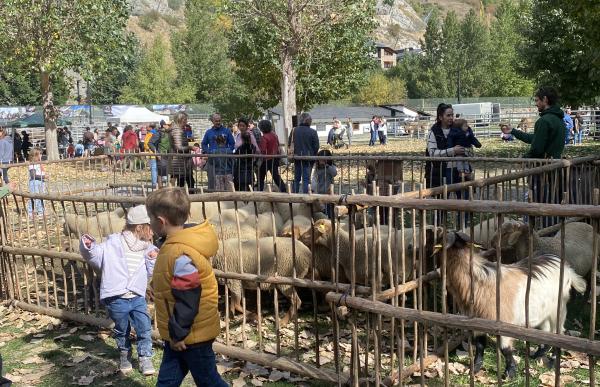 El Comú de Canillo compra el terreny del Càmping Pla per fer-hi ...